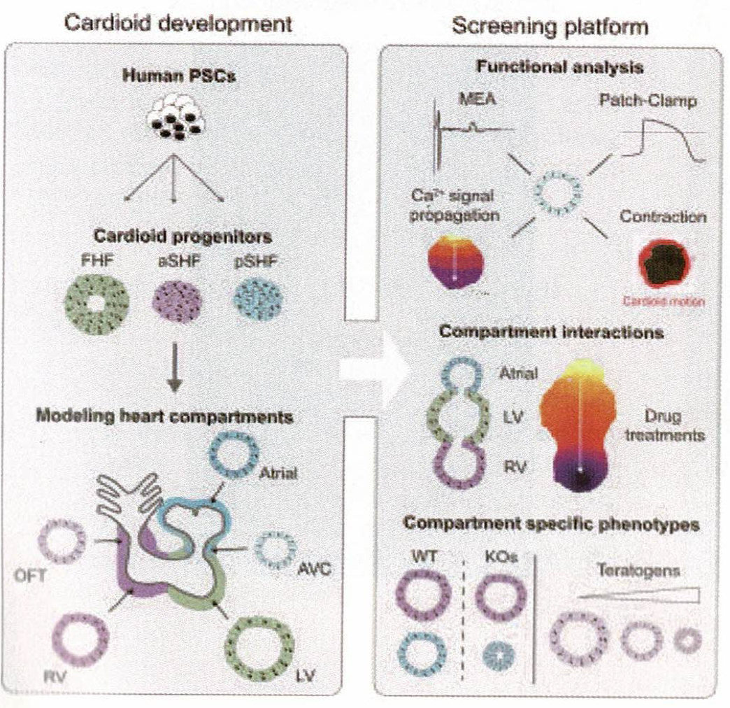 SCIENCE REPORTER SUMMARY JANUARY 2024 - 99Notes