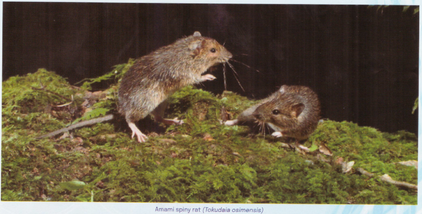 SCIENCE REPORTER SUMMARY: SEPTEMBER 2024 - 99Notes